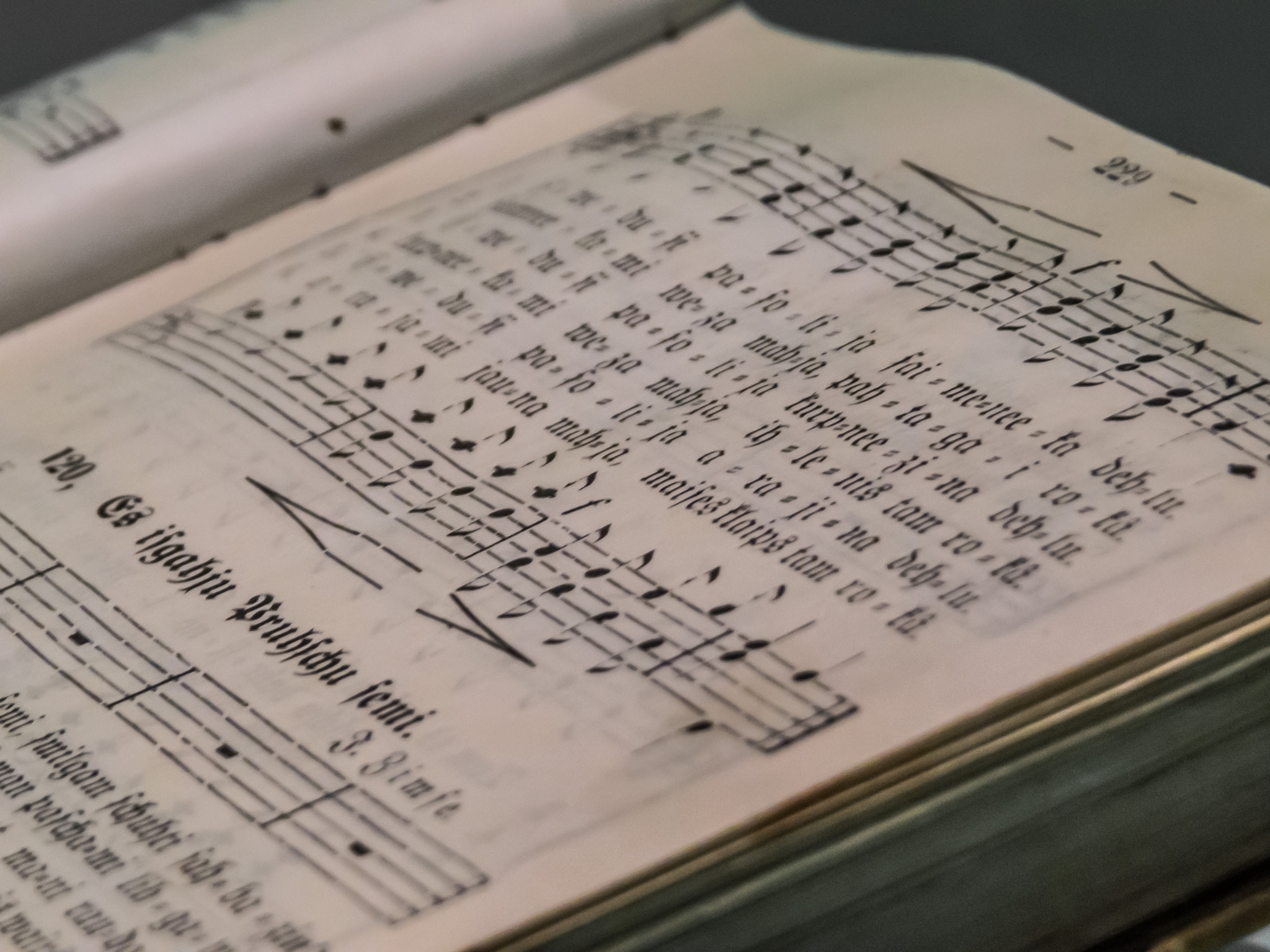 storia-della-musica-scuola-miari - Scuola Miari Belluno